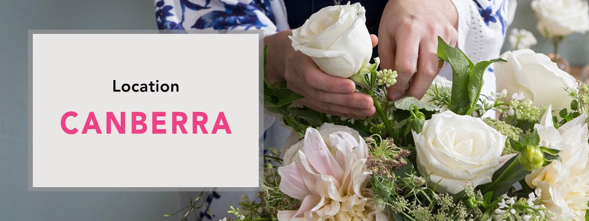 Flower Delivery Canberra - Petals Network