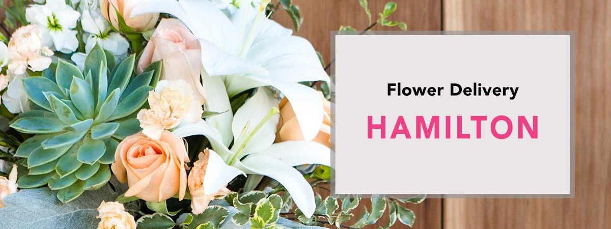Flower Delivery Hamilton by Petals Florists