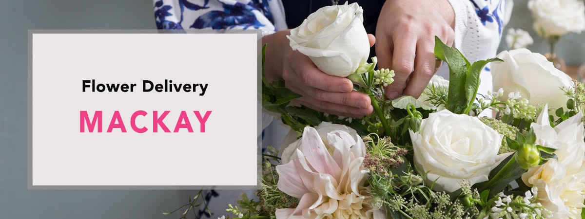 Florist Flower Delivery to Mackay, QLD - Petals
