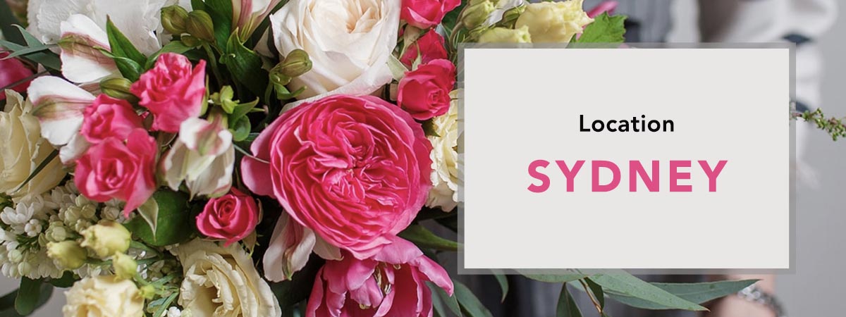 Flower Delivery Sydney - Petals Network