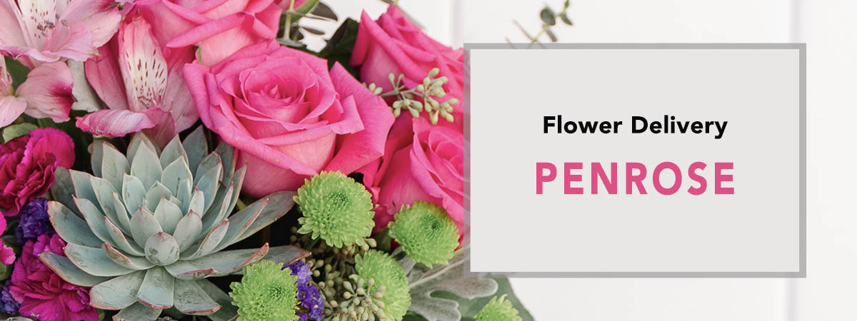 Florists Penrose - Online Flower Delivery Penrose - Petals.co.nz