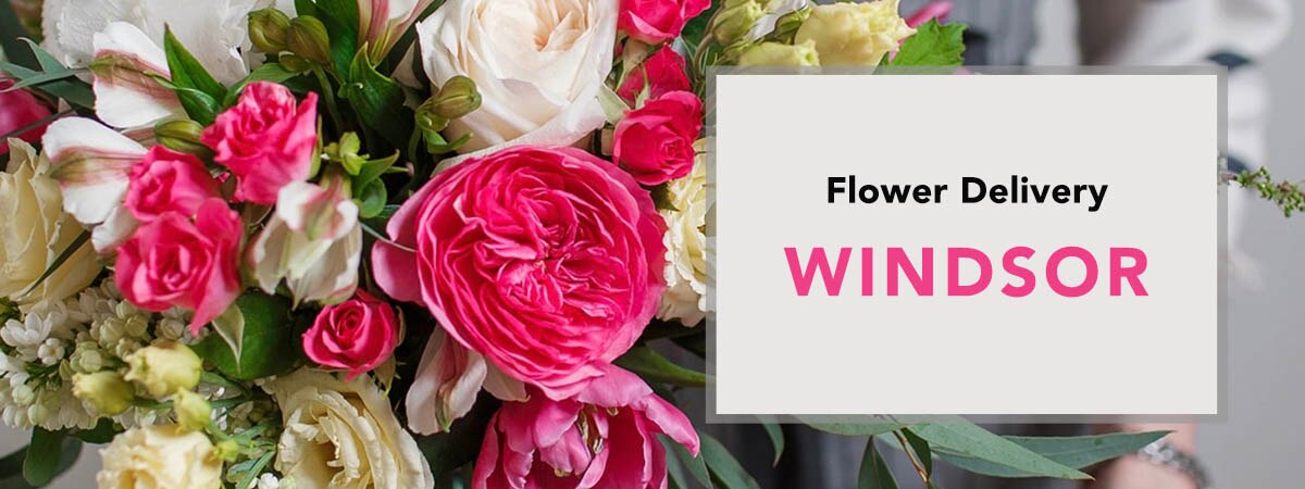 Florists Windsor - Online Flower Delivery Windsor - Petals.co.nz