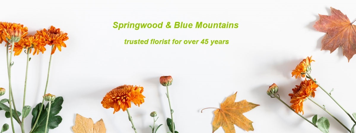 Flower Delivery Springwood | Same Day Florist Delivery - Springwood Florist