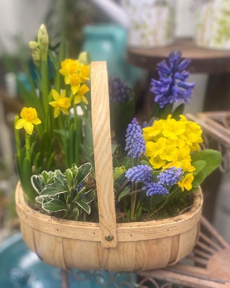 Spring Trug in Thame Oxfordshire - Bizzie Lizzie Flower Shop