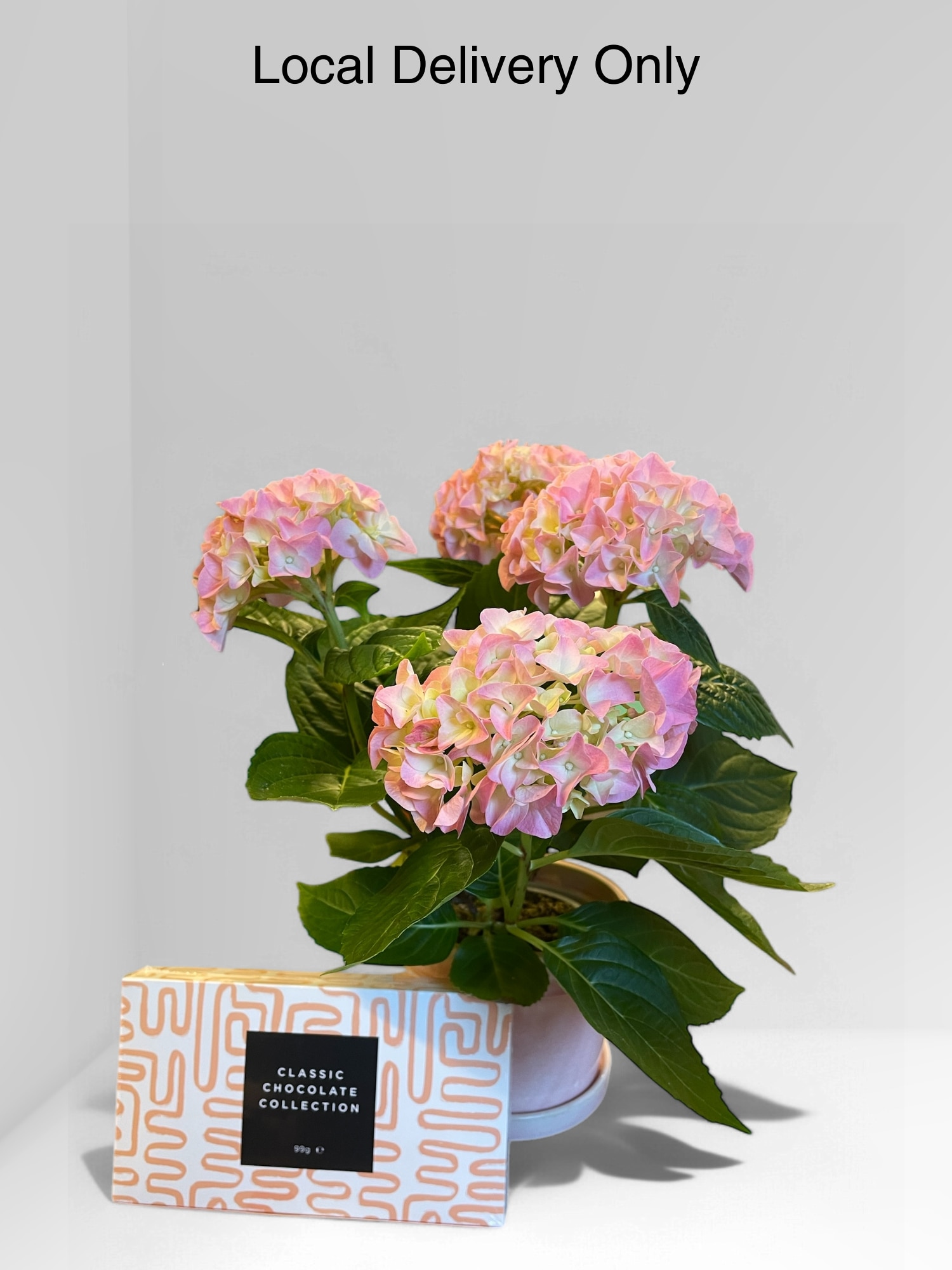 Hydrangea Gift Set in Eltham London - Westmount Flowers