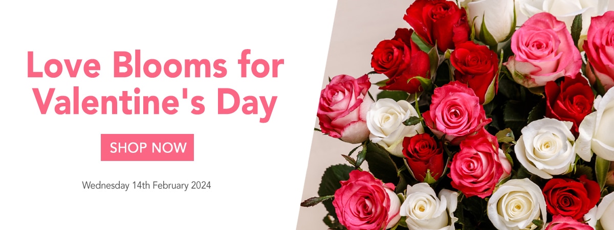Flower Delivery Chermside | Same Day Florist Delivery - 7 Days Florist